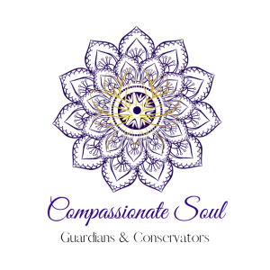 Compassionate Soul Guardians – To Serve And Protect The Vulnerable With ...